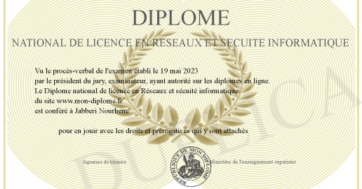 Diplome national de licence en Reseaux et secuite informatique