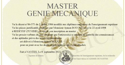 Master genie mecanique