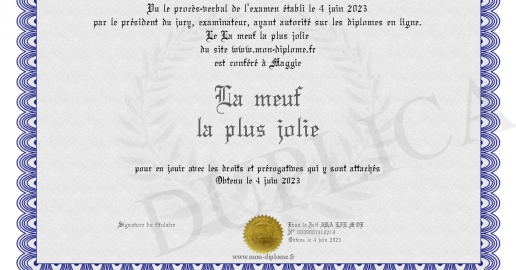 La meuf la plus jolie