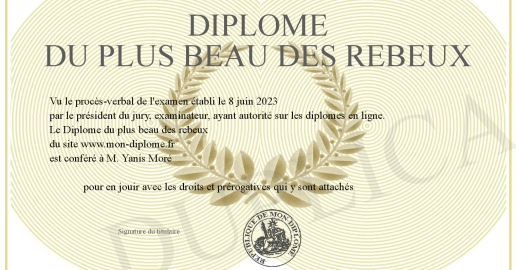 Diplome du plus beau des rebeux