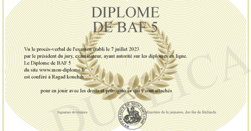 Diplome de BAF 5