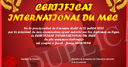CERTIFICAT INTERNATIONAL DU MEC