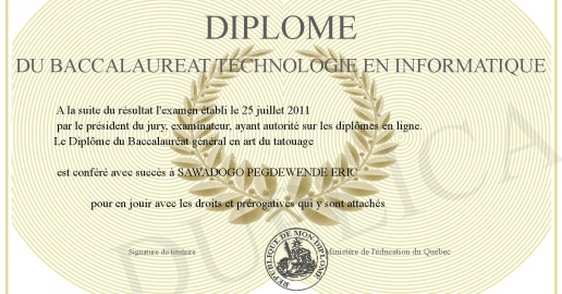 Diplome du baccalaureat Technologie en informatique