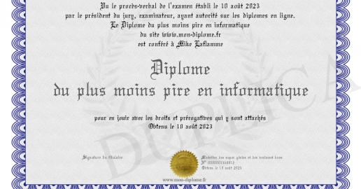 Diplome du plus moins pire en informatique