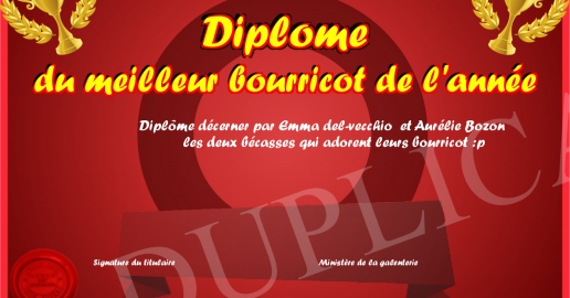 Diplome du meilleur bourricot de l annee