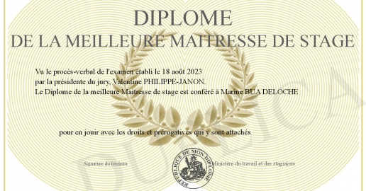 Diplome de la meilleure Maitresse de stage