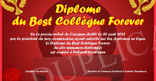 Diplome du Best Collegue Forever