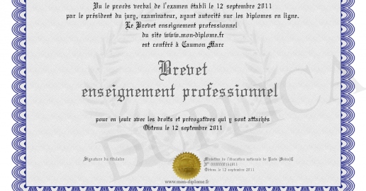 Brevet enseignement professionnel