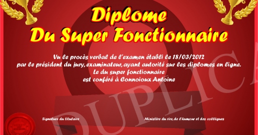 Diplome Du Super Fonctionnaire