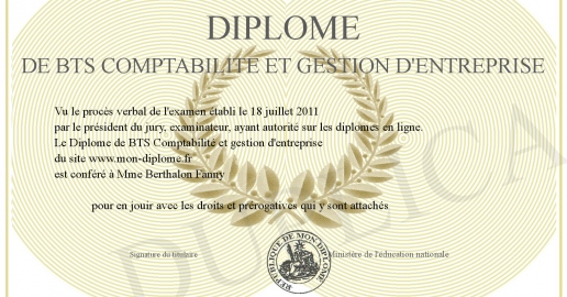 Diplome de BTS Comptabilite et gestion d entreprise