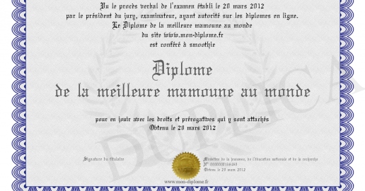 Diplome de la meilleure mamoune au monde