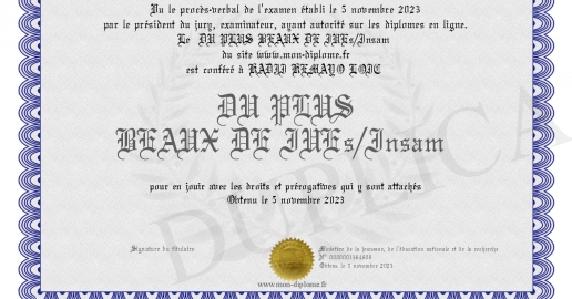 DU PLUS BEAUX DE IUEs/Insam