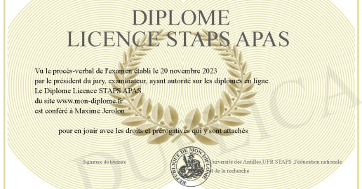 Diplome Licence STAPS APAS