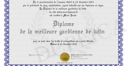 Diplome de la meilleure gardienne de lutin