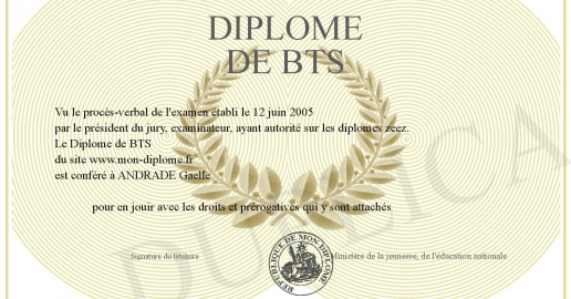 Diplome de BTS