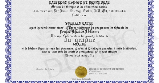 Diplome du gradue