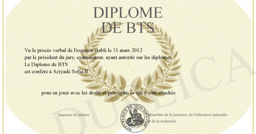 Diplome de BTS