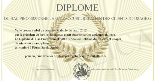 Diplome du Bac Professionnel ARCU (Accueil Relation des Clients et Usages)