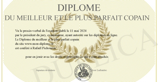 Diplome du meilleur et le plus parfait copain