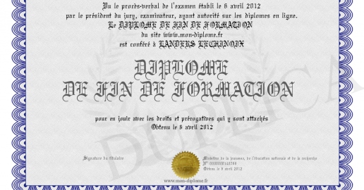 DIPLOME DE FIN DE FORMATION