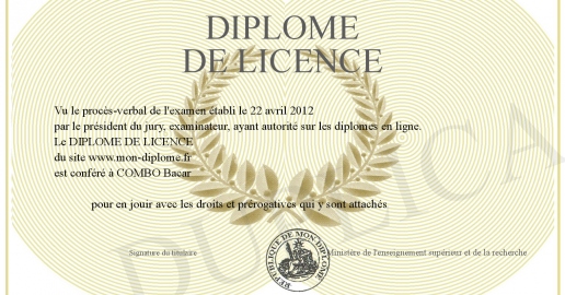 DIPLOME DE LICENCE