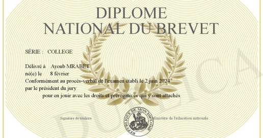 Diplome national du brevet