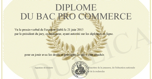 Diplome du BAC PRO COMMERCE