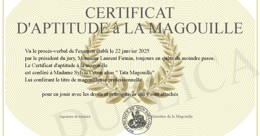 Certificat d aptitude a la magouille