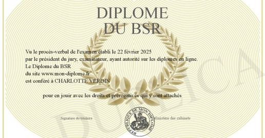 Diplome du BSR