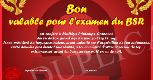 Bon valable pour l examen du BSR