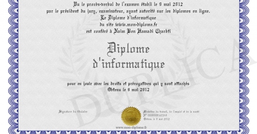 Diplome d informatique
