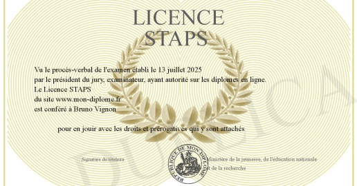 Licence STAPS