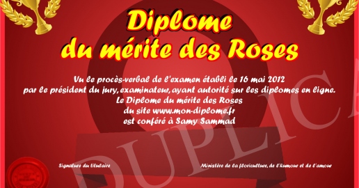 Diplome du merite des Roses