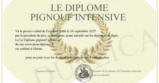 Le Diplome pignouf intensive