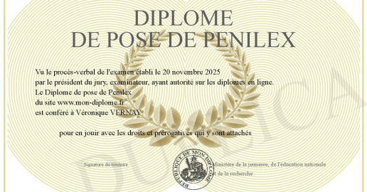 Diplome de pose de Penilex