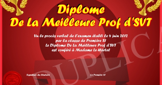 Diplome De La Meilleure Prof d SVT