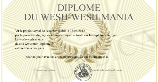 Diplome du wesh-wesh mania