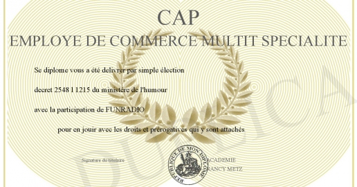 CAP Employe de Commerce Multit Specialite