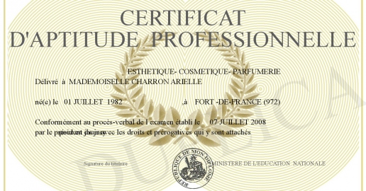 CERTIFICAT D APTITUDE PROFESSIONNELLE