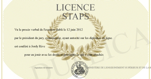 Licence STAPS
