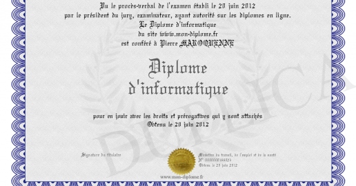 Diplome d informatique