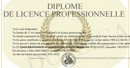 Diplome de LICENCE PROFESSIONNELLE