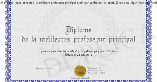 Diplome de la meilleures professeur principal