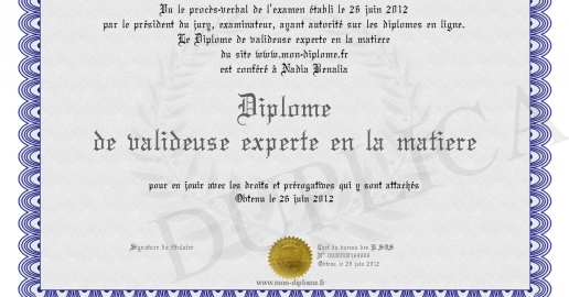 Diplome de valideuse experte en la matiere