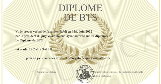 Diplome de BTS