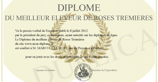 Diplome du meilleur eleveur de Roses Tremieres