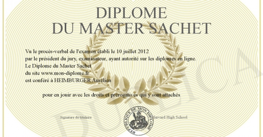 Diplome du Master Sachet