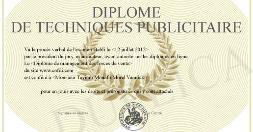 Diplome de Techniques Publicitaire