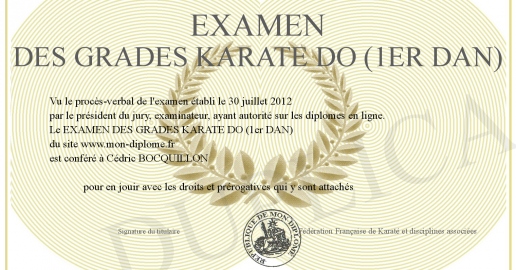 EXAMEN DES GRADES KARATE DO (1er DAN)