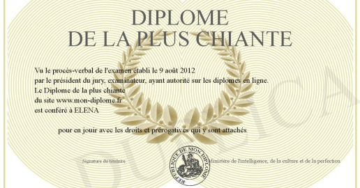 Diplome de la plus chiante